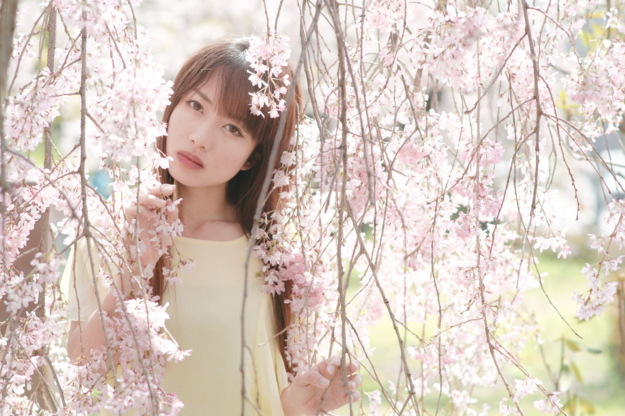 「花のささやく時」by @I9j7yUNkBNW9Cld(佐土原光司)さん | Camecon 気軽に投稿できるフォトコンテストサイト